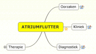 Atriumflutter | Medics4medics.com